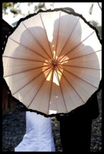 Umbrella Love - Bridezilla